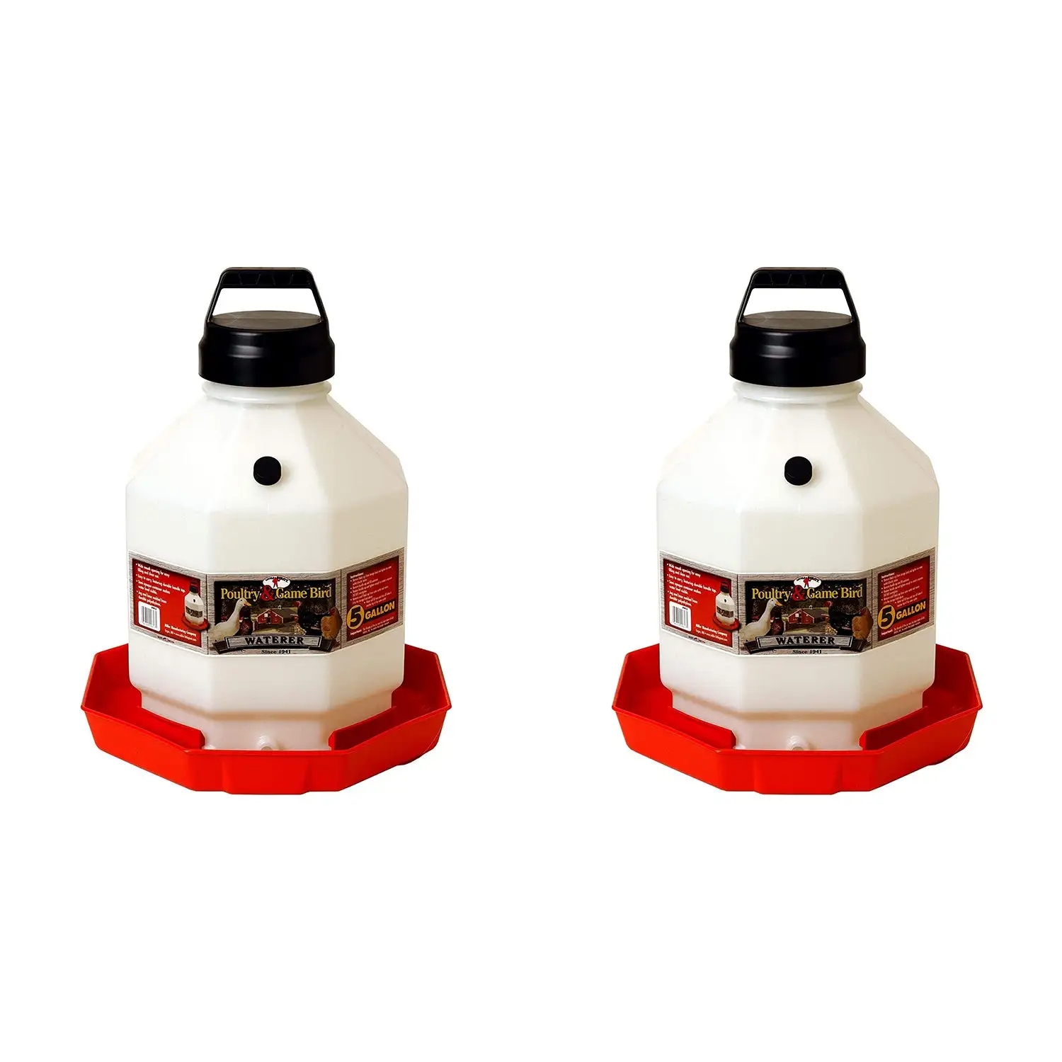 Little Giant PPF5 5 Gallon Automatic Poultry Waterer for Chickens, Red ...