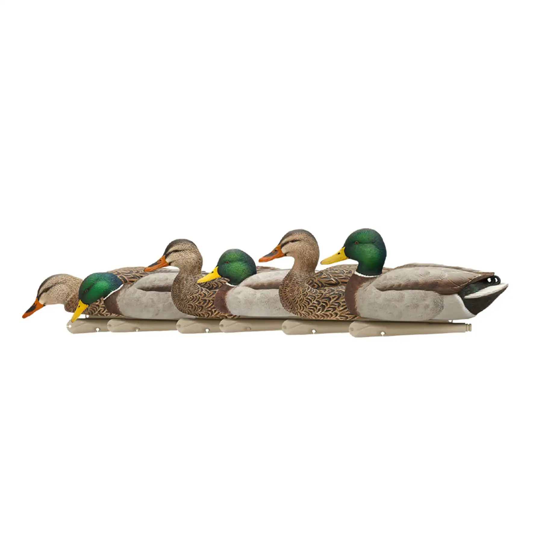 Avian X Topflight Realistic Floating Rugged Fusion Mallard Decoy Set, 6 ...
