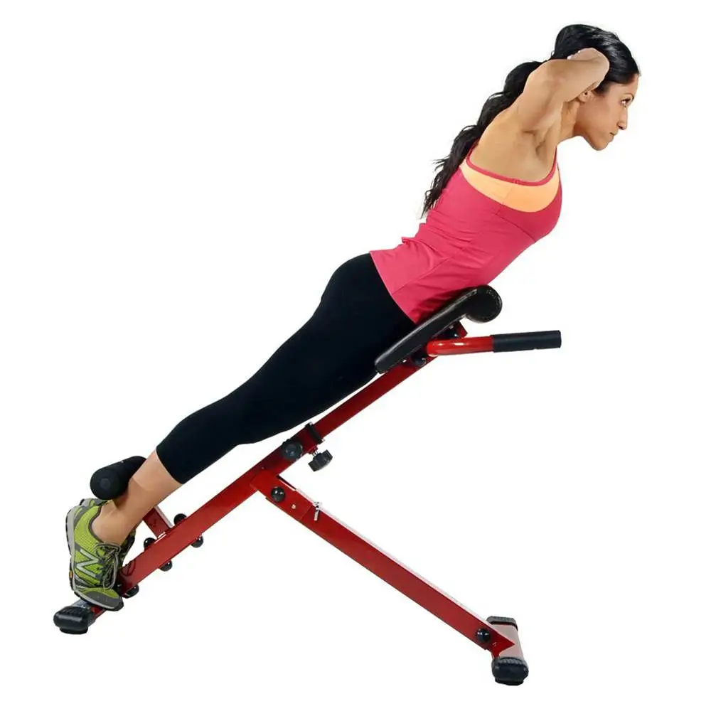 Stamina X Adjustable Ab Back Core Strength Exercise Fitness ...
