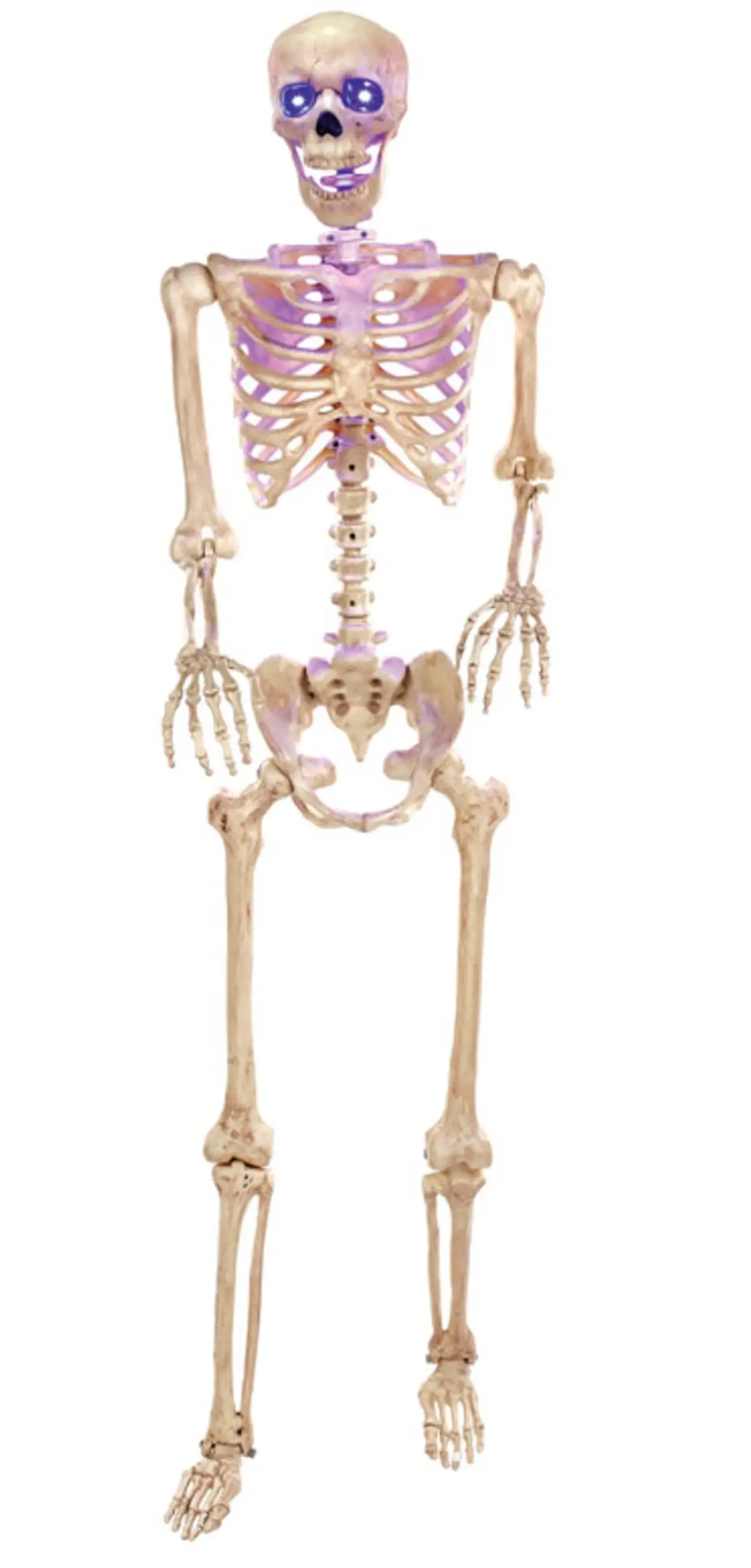 Seasons W81215 Skeleton Lighted Halloween Decoration | ProToolHome.com